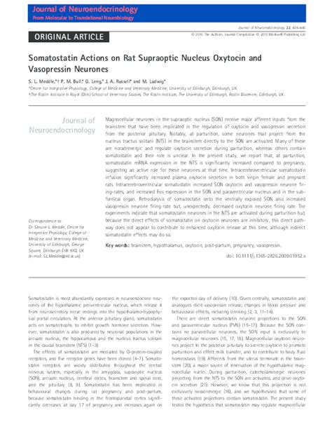 Pdf Somatostatin Actions On Rat Supraoptic Nucleus Oxytocin And Vasopressin Neurones
