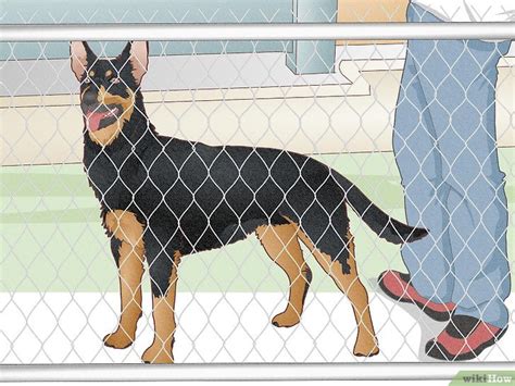 How To Secure Your Home Expert Tips