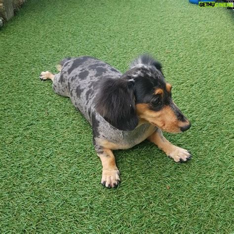 Jonghyun Wiki Biography Age Gallery Spouse And More