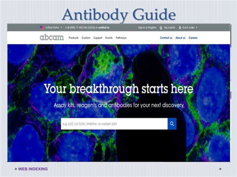Bridging Histology And Bioinformatics Pptx