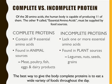 Proteins Ppt Download