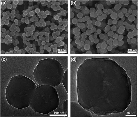 A SEM Images Of Synthesized ZIF B SEM Images Of Synthesized Download Scientific Diagram