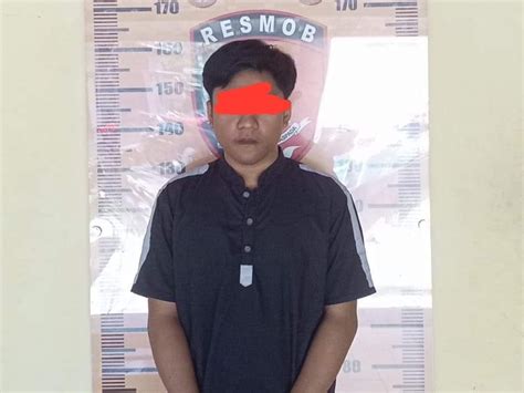 Seorang Pemuda Di Mamuju Ditangkap Polisi Usai Curi Hp Editorial Com