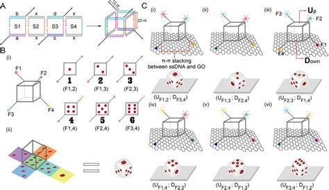 design of dna cube based system for mimicking dice throwing a schematic