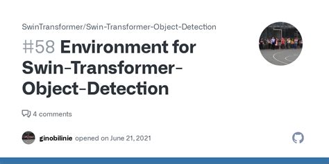 Environment For Swin Transformer Object Detection · Issue 58