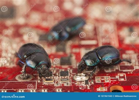 bugs on a computer chip stock image image of debugging 101961943