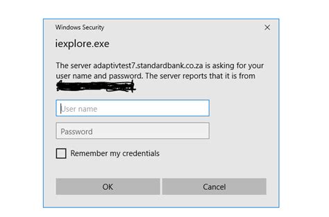C Ie Windows Security Dialog Appears To Block Selenium Navigation