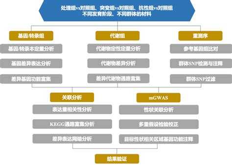 干货分享｜一文get代谢组学在作物育种领域的应用 知乎
