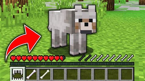 КАК ИГРАТЬ ЗА СОБАКУ В МАЙНКРАФТЕ МАЙНКРАФТ ПРЕВРАЩЕНИЯ Youtube