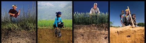 Precision Ecology Medium