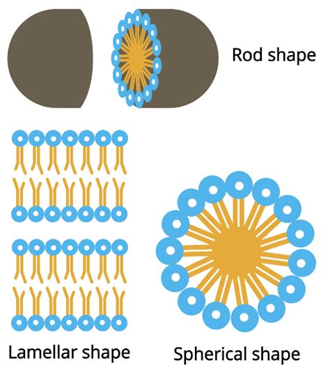 Micelle Formation Explanation With Cmc Psiberg