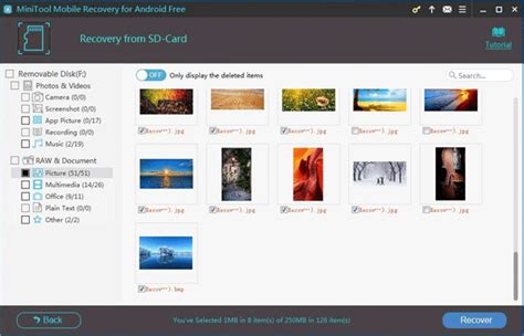 Solved How To Recover Files From Formatted Sd Card On Android Minitool