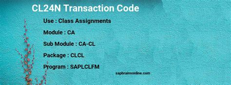 CL N SAP Tcode For Class Assignments