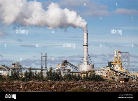 Industrial Wood Factory With Pipe Emitting Smoke And Stacked Logs