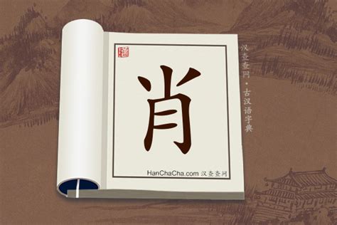肖文言文意思 肖在古汉语中的解释 汉查查