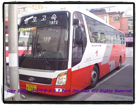 금호고속 뉴 프리미엄 유니버스 노블 40인승 일반 1972호 시외버스 갤러리 강원도버스사랑