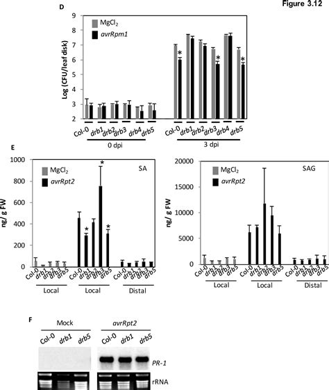 Figure 3 12 From Role Of Plasmodesmata Localizing And Double Stranded Rna Binding Proteins In