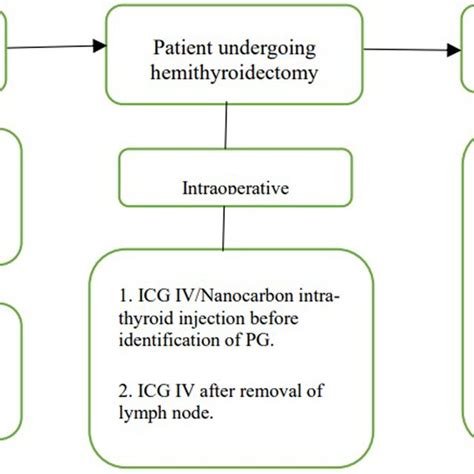 Flowchart Of The Study Procedures Download Scientific Diagram