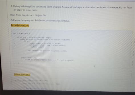 Solved 1 Debug Following Echo Server And Client Program