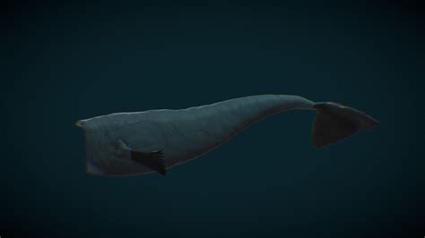 Bloop Free 3d Model Animated Rigged Cgtrader