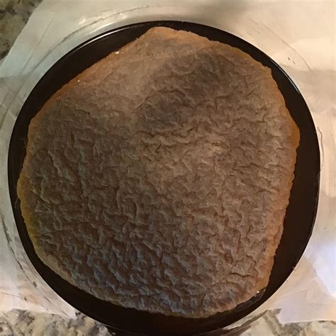 Got Kahm Now What Rkombucha