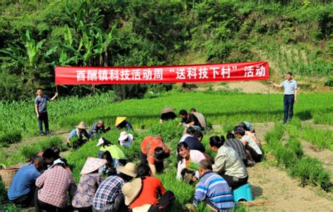 重庆酉阳县：酉酬镇开展“科技活动周”送技术下村活动 腾讯新闻