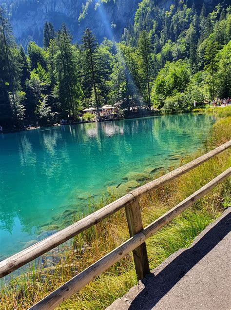 Македонки во Швајцарија Facebook