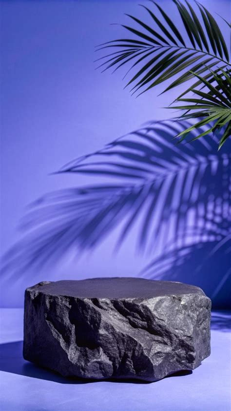 Подиум из черного камня с тенью от солнца для демонстрации продукции на фон… Виды графического