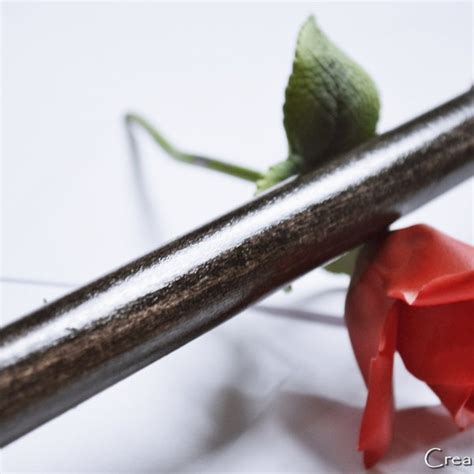 Birch Rods Spanking Etsy