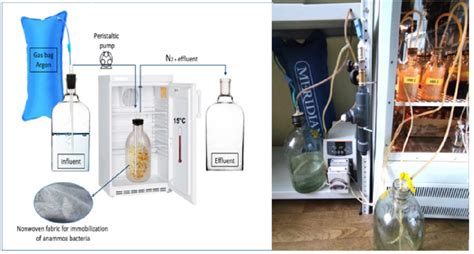 Schematic Left And General Right View Of The Continuous Flow Abr Download Scientific Diagram