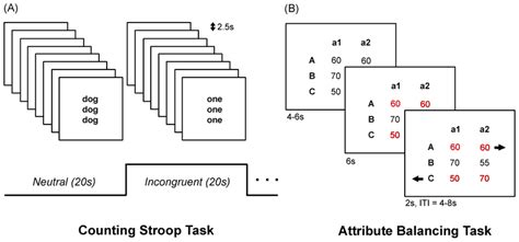 Schematic Of Experimental Task And Behavioral Results Download