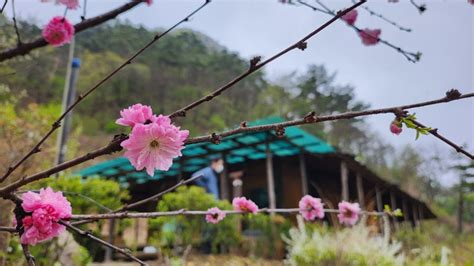 강원도 영월 산골초가펜션 촌캉스 가족여행 찐후기 네이버 블로그