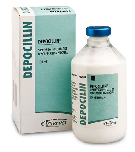 Depocillin 250ml Langley Animal Clinic