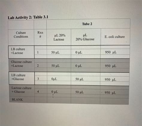 3 Examin Your Data For Lab Activity 2 Describe The Chegg Com