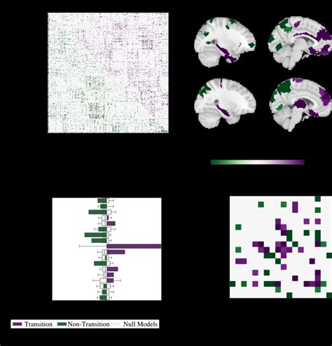 Patterns Of Functional Connectivity In The Brain Are Distinct In Download Scientific Diagram