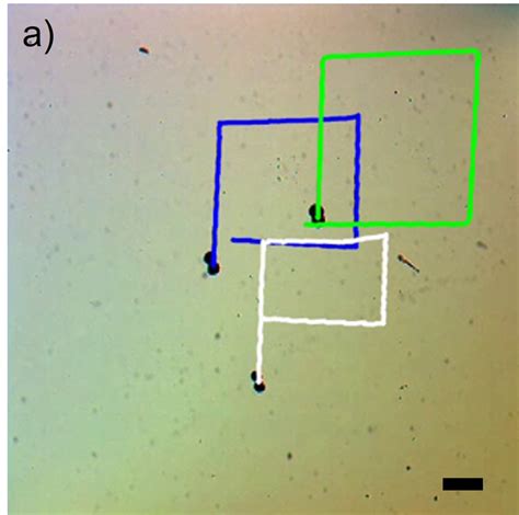 Complex Locomotion In The Non Newtonian Fluidic Environment Under Download Scientific Diagram