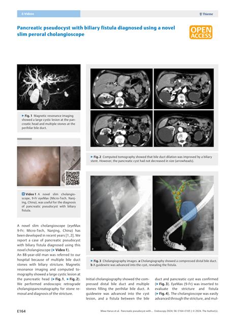 Pdf Pancreatic Pseudocyst With Biliary Fistula Diagnosed Using A Novel Slim Peroral Cholangioscope