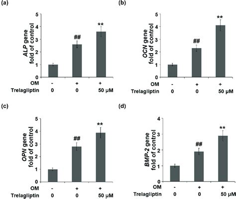Trelagliptin Increases The Expression Of Marker Genes Of Osteoblastic