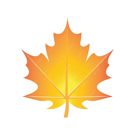 Premium Vector Maple Leaf Vector Illustration