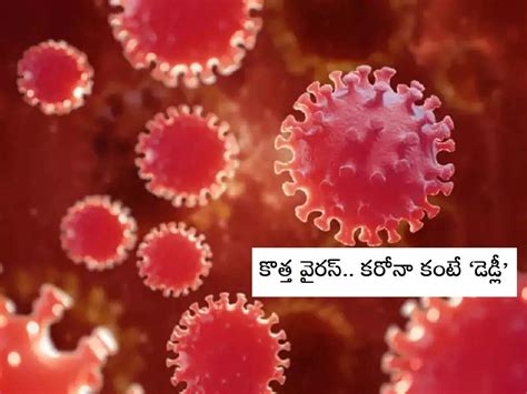 New Virus In Africa కరోనా కంటే డెడ్లీ వైరస్ ముక్కు నుంచి రక్తం కారుతూ ముగ్గురి మృతి Africa