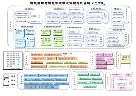 浙大城市学院计算机与计算科学学院 专业介绍 信息管理与信息系统专业课程图解