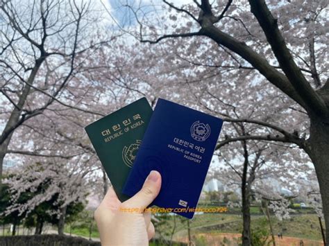 제주도 여권 발급 소요기간 여권 사진 외 준비물 영문이름 변경 수수료 Tip 네이버 블로그