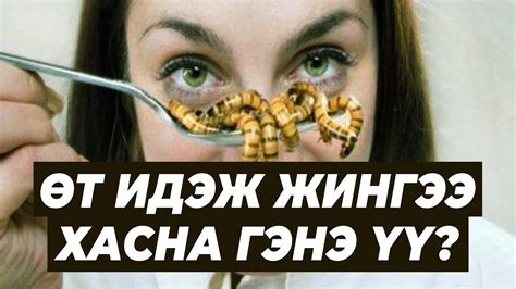 ҮНЭХЭЭР ХУРДАН ЖИН ХАСАХ БОЛОМЖТОЙ ЮУ Youtube