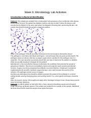 Microbiology Lab Assignment Revised Docx Week Microbiology Lab Activities Introduction