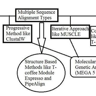 Different Kinds Of Sequence Alignments Methods And Types Download Scientific Diagram