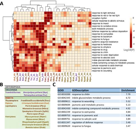 Meta Analysis Of The Transcriptomics Experiments A Heatmap Showing