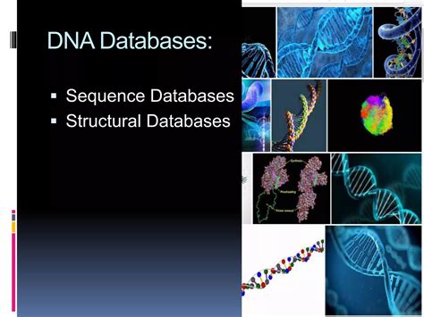 Sequence And Structural Databases Of Dna And Protein And Its Significance In Scientific