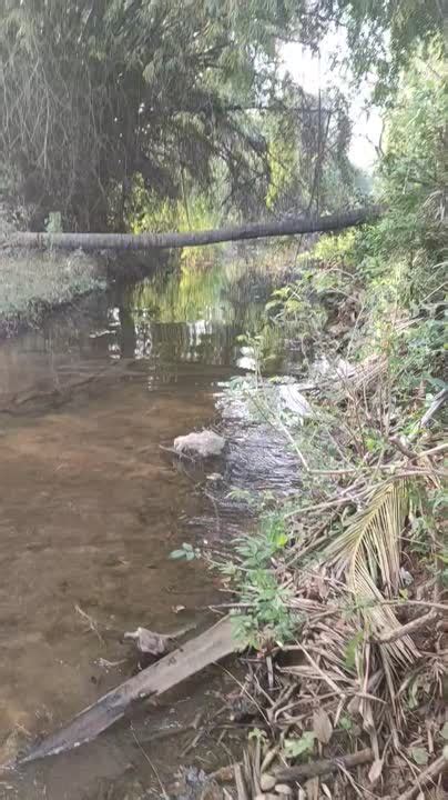 Shamshunnisa Ha On Linkedin I Was On 5 Day Mandatory Off And I Visited