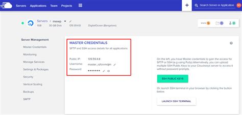 Duplicator инструкция и обзор лучшего плагина для перемещения Wordpress сайта на сервер