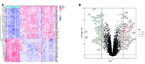Heatmap And Volcano Plot Of Degs A The Heatmap Of Differential Download Scientific Diagram
